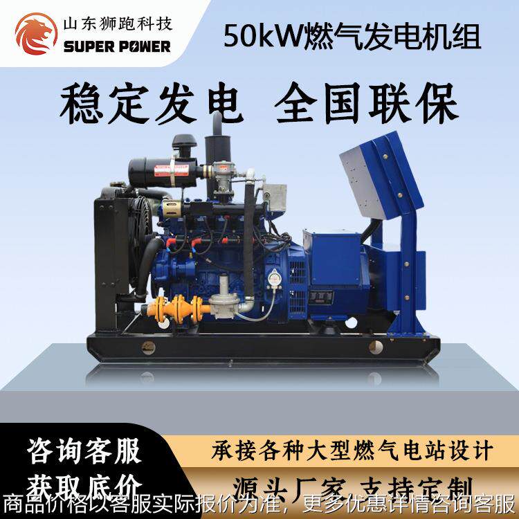 50kw燃气发电机组天然气沼气民用家用油田养殖场发电机高效大功率
