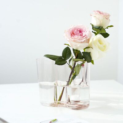 芬兰iittala伊塔拉Aalto Collection传奇湖泊花瓶摆件玻璃碗北欧