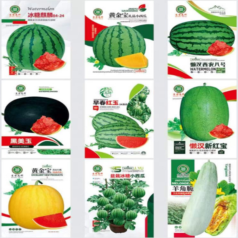 麒麟/黑皮/黄皮/懒汉/2K/早春红玉/盆栽西瓜种子家庭园艺植物优选