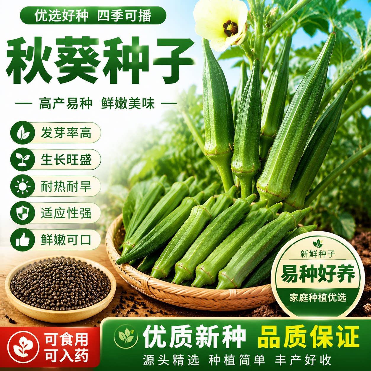【秋葵种子】绿秋葵种籽四季播高产黄秋葵籽农家阳台庭院蔬菜种子
