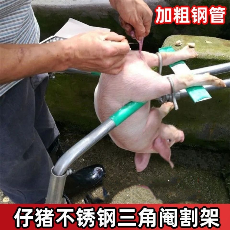 猪用器械阉猪架 器阉猪刀腌猪架子阉割架养殖设备畜牧/养殖器械