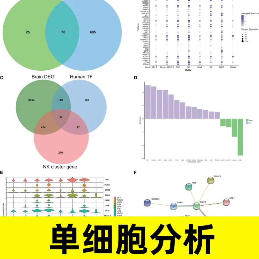 生信分析定制服务2-9分TCGAGEO数据库挖掘差异基因富集单细胞测序