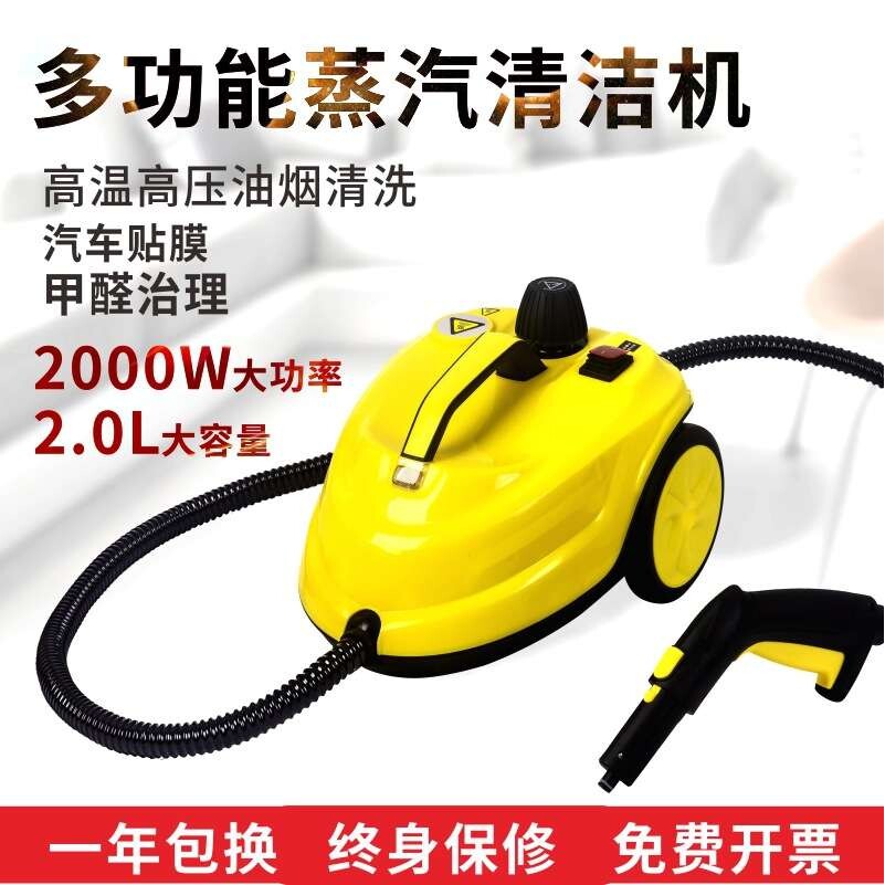 220V/110V 2L高温高压蒸汽清洁机 家用杀菌消毒机汽车油烟清洗机