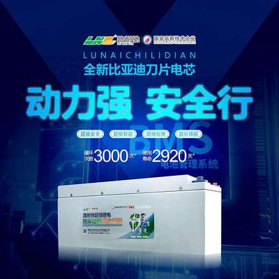 比亚迪磷酸铁锂刀片电芯 大容量 电动三轮车四轮车专用动力锂电池