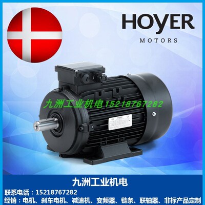 霍尔HOYER电机MS5624 7124 8024 90L4 100L4 112M4 132M4马达 4极