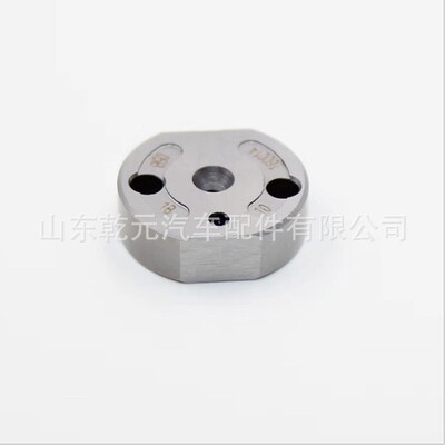 07#电装阀板阀片 适用喷油器095000-6510/7760//6520/5390/1440