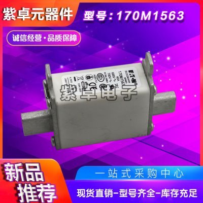 170M1563 170M1564 170M1565 170M1566 170M1567伊顿巴斯曼熔断器