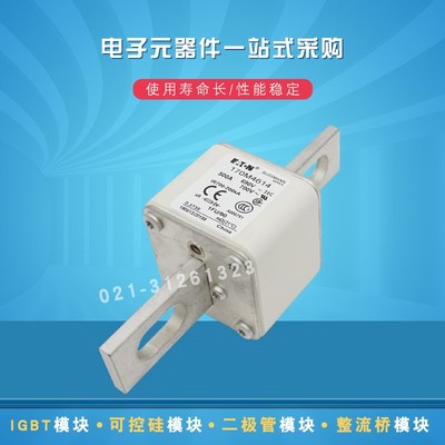 快速熔断器保险丝170M4615 4616 4617 4618 4619 4656 4659 4658