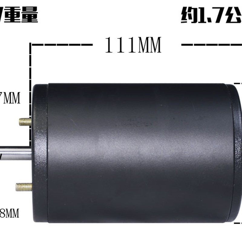12324V-00W双轴承正马碳刷直流发电机风力水力手摇大功率电机反达