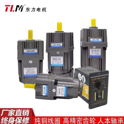 TLM东力10W相220V齿轮速电机定速电机2IK10GN-C+2GN-100K