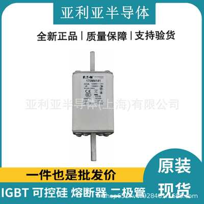170M4066 170M4141 170M4145 直流快速熔断器 保险丝 原厂原盒