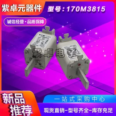 170M3815D 170M3816D 170M3817D 170M3818D 170M3819D快速熔断器