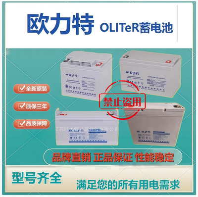 OLITER欧力特原装蓄电池LCPA100-12 LCPA65-12 LCPA38-12 6-GFM