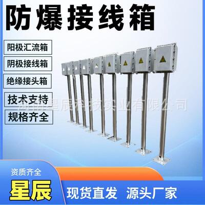 绝缘接头防爆接线箱阴极保护EX防爆接线箱绝缘接头分线箱