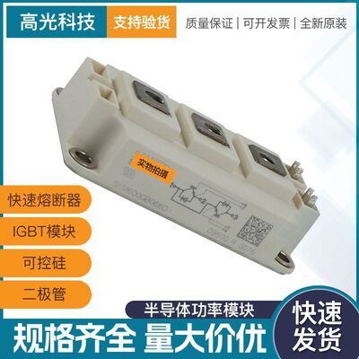 BYM600A170DN2 DZ800S17KE3IGBT 快速二极管模块 全新现货 晶闸管
