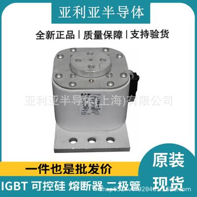 170M7034170M7035170M7060170M7083直流快速熔断器原厂原标