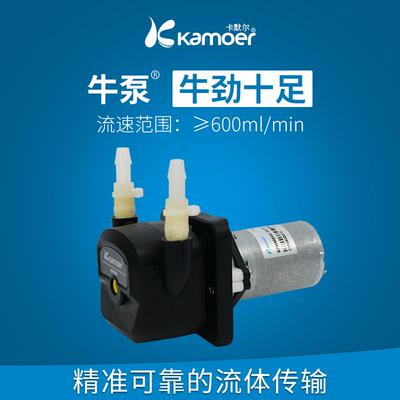 KPHM600 12V24V蠕动泵小型抽水泵自吸泵600ml微型水泵