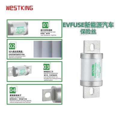 电动车高压电0盒动力电池保护EV48J7504配00熔A-60A直流断器