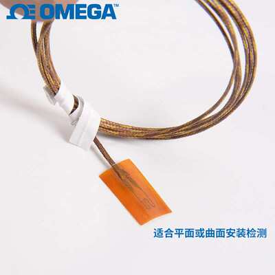 SA1-TH-44007-80-T SA1-RTD-4W-TA4F奥米佳带粘贴热电阻