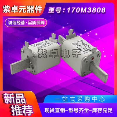 170M3694170M3695170M3696170M3697170M3739170M3740熔断器