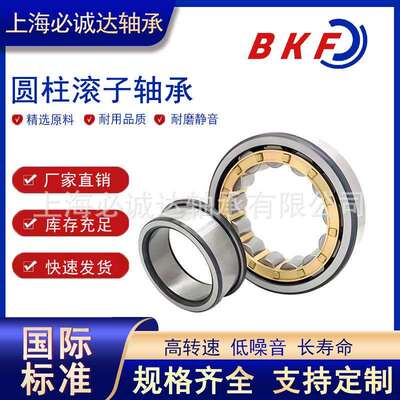 BKF圆柱滚子轴承N NJ NU NF NUP2311 2312 2313 2314 2315 2316EM