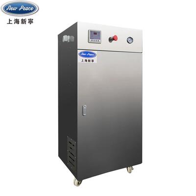 功率60千瓦蒸发量0.086吨/小时电加热锅炉