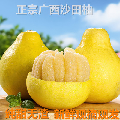 正宗广西沙田柚容县金柚现摘柚子