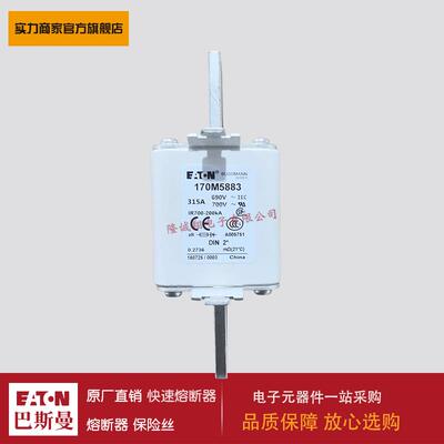 熔断器170M5882 170M5883 170M5884 170M5885 170M5886 170M5887