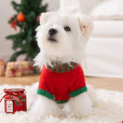 喜庆衣小雪狗狗衣服冬毛季泰迪2510SXSY比熊天纳瑞小型犬宠物西高