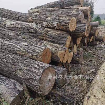 刺槐木槐木去皮外游乐原木木桩槐木打磨洋户槐刺原木户45原外原材