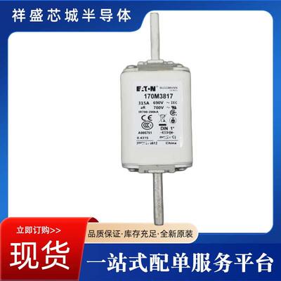 高压限流熔断器170M2658170M2659保险丝现货包邮型号齐全