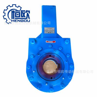 煤矿大倾角皮带输送机专用逆止器NDZ2000