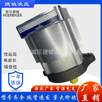 德国贺尔碧格HOERBIGER齿轮油泵HQ12-016RA04-11S101 025/22 11 8