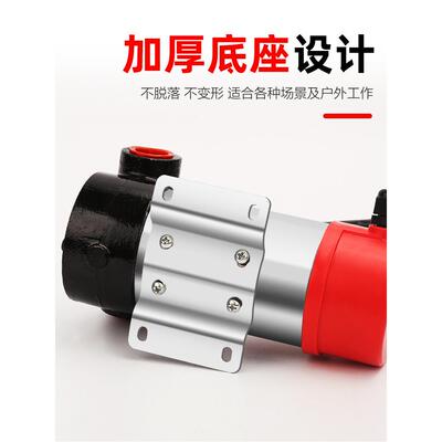 车载动抽油1PFP2V24V220V伏自吸电泵抽油泵机柴油泵加油抽泵油器