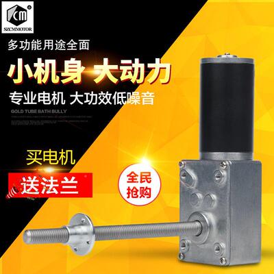 58031ZY蜗轮蜗杆减速电机锁螺杆电机M8螺杆-轴RXQ142v24V自电机