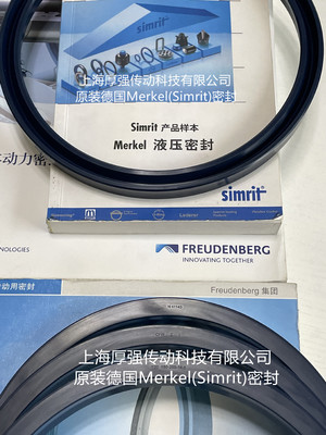 德国MERKEL密封件N41143T20