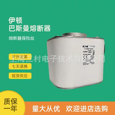 快速熔断器保险丝170M6483/6484/6485/6486/6494/6495/6496/6497