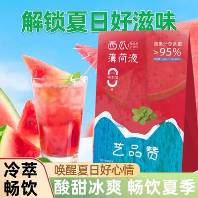 艺品赞西瓜薄荷液酸甜解暑果汁饮品300ml夏日冷饮西瓜薄荷液