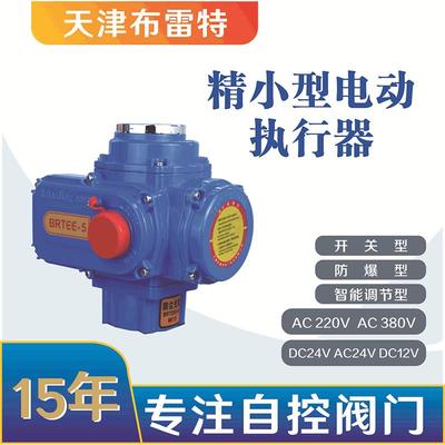 BRTEE-10精小型电动执行器开关型智能一体化调节型断电复位防爆