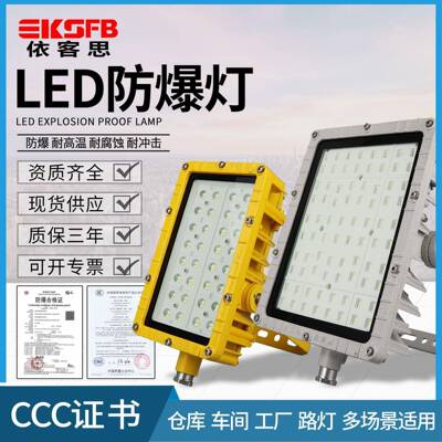 BFC8115LED泛光灯60W厂房隔爆型投光灯100W户外防水路灯式防爆灯