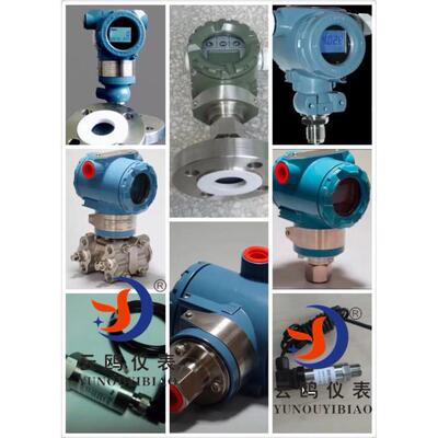 153051115变1DP+11199差压送器电式法兰液位变送器双容法兰带毛细