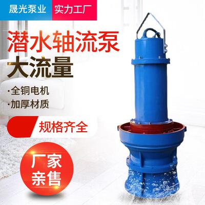 晟光泵业QZB/QHB系列下吸式潜水轴流泵大流量立式大口径水泵