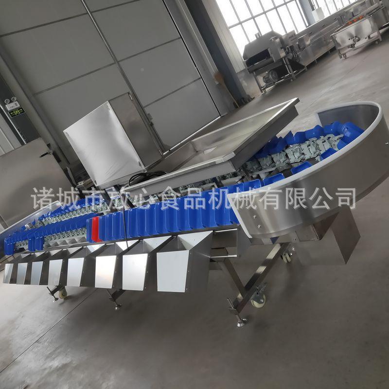 海蛎子选称重分选机分重量分拣机NHB水果称重分选机海参生蚝机