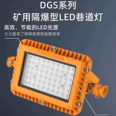 隔爆型LED巷道灯DGS30/127L(A)井下用127V照明灯30W支架灯功耗低
