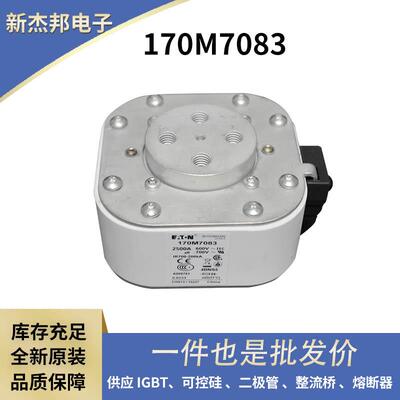 170M6868 170M6869 170M6870 170M6878原厂高压熔断器 保险丝