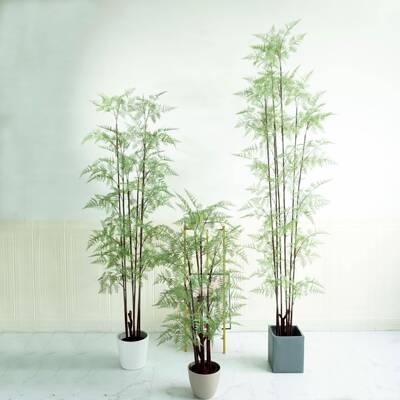 仿真蕨树铁线树北欧风装假树内饰客厅造景装饰室景摆220503件厂家