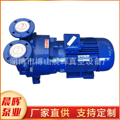 2BV5121直联水环式真空泵