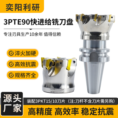 3PTE10/15快进给重切削铣刀盘