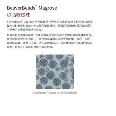 BeaverBeadsMagroseNH2氨基磁珠海狸Beaver70203-5