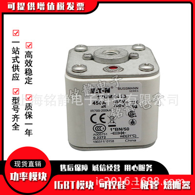 巴斯曼170M4413-4416保险丝